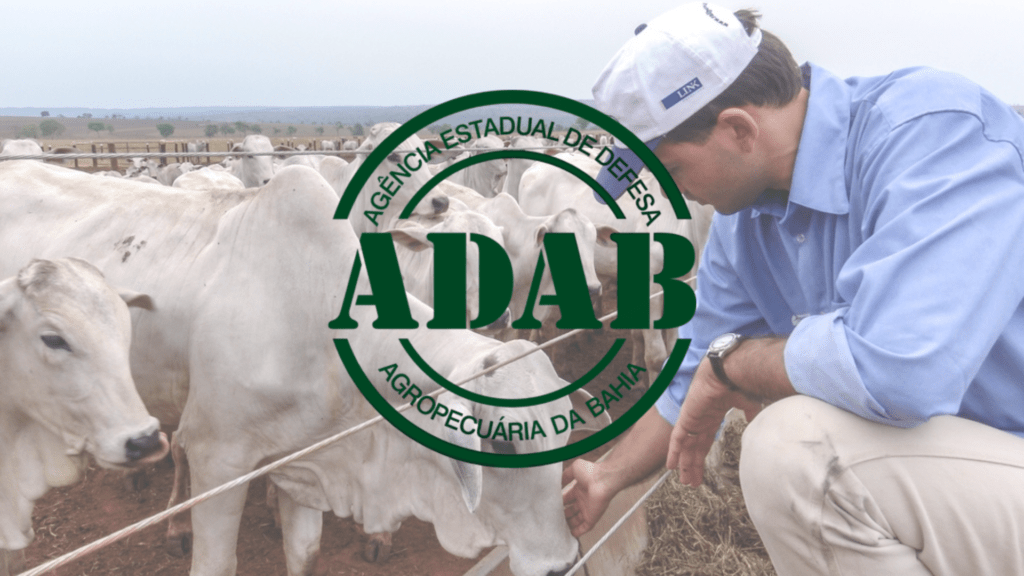 Concurso ADAB 2024: Edital Publicado! São 160 Vagas Para Fiscal ...