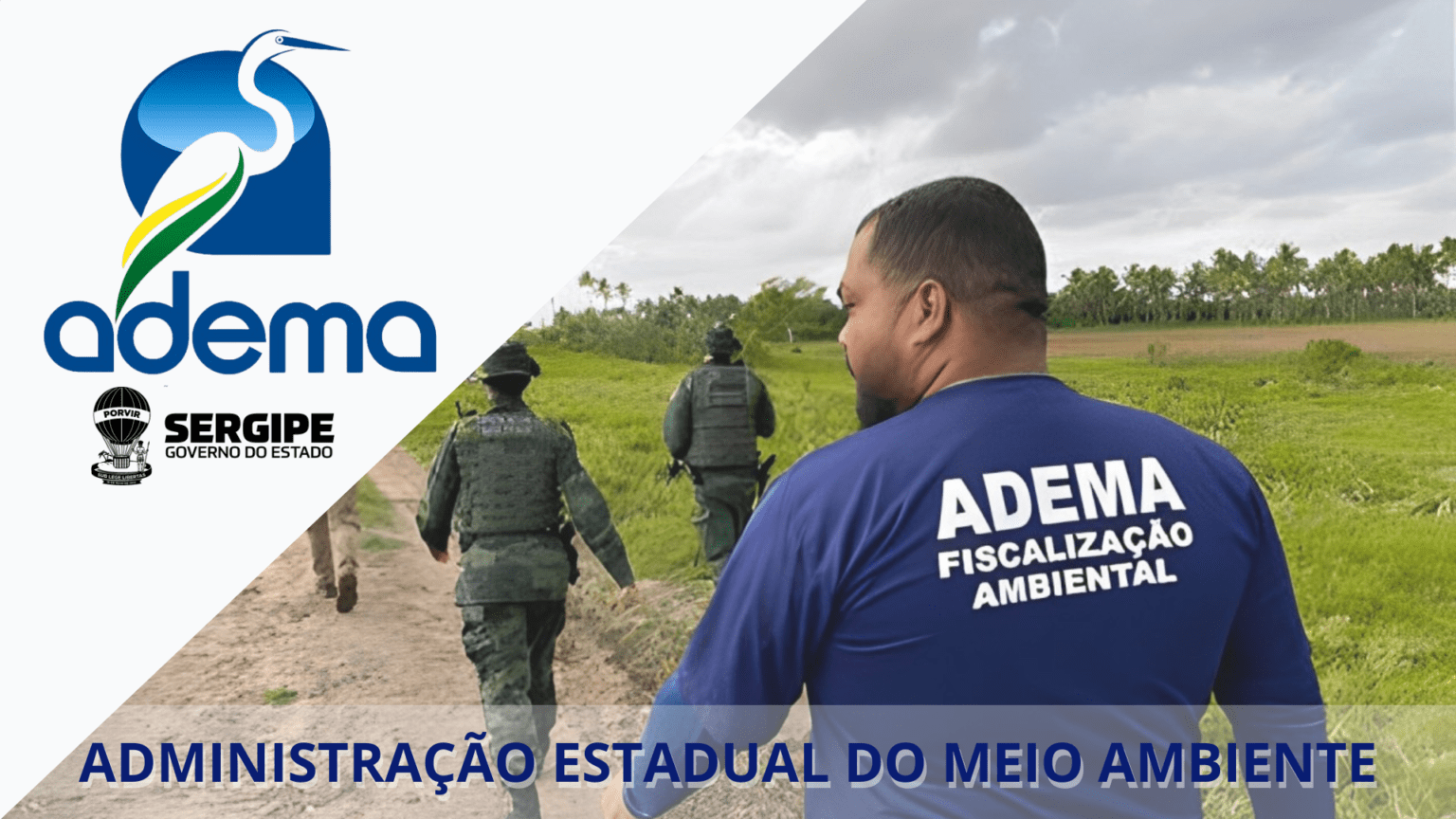 Concurso ADEMA SE: Edital Ainda Esse Mês! São 55 Vagas para Analista e ...